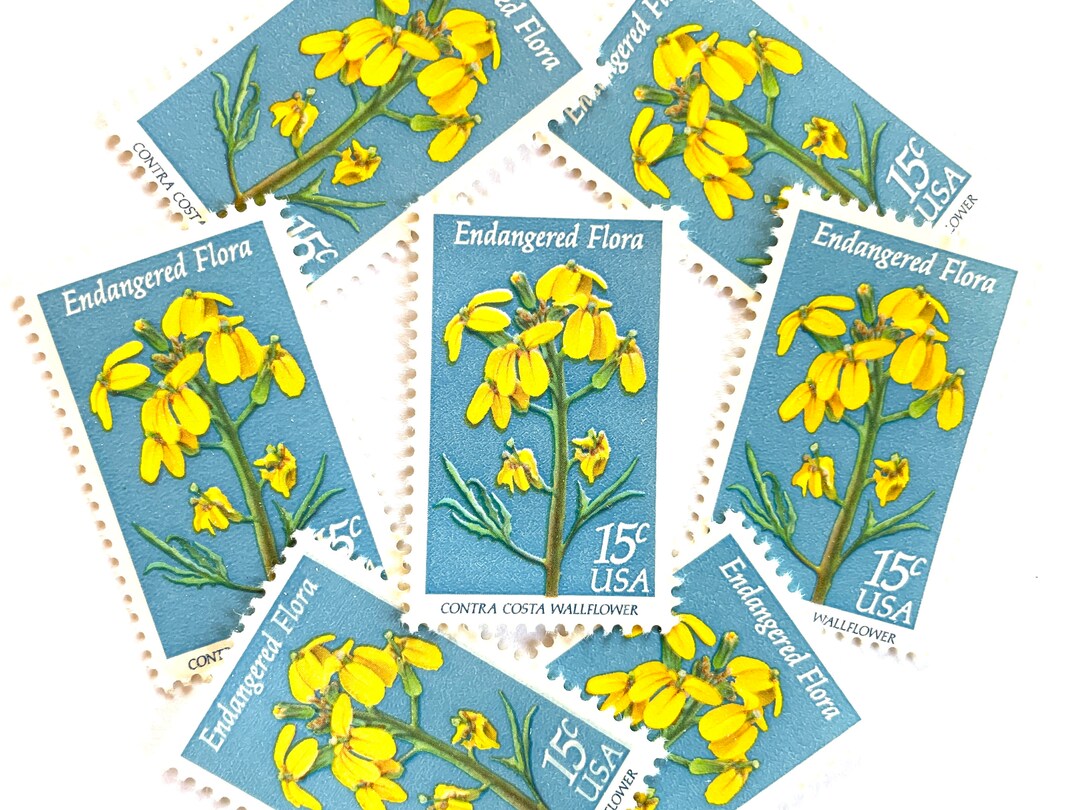 10 Vintage Unused Contra Costa Wallflower Stamps / Endangered Flora ...