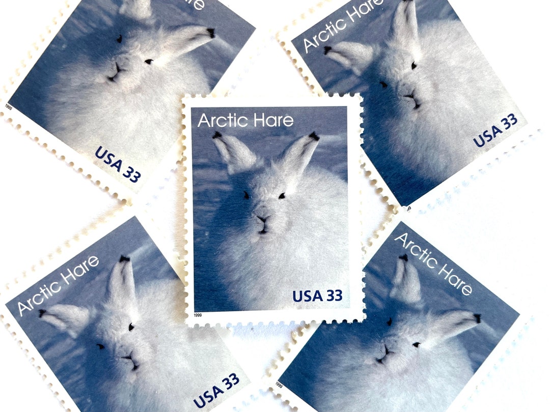 10 Vintage Unused Arctic Hare Stamps / Christmas Winter Holiday White ...