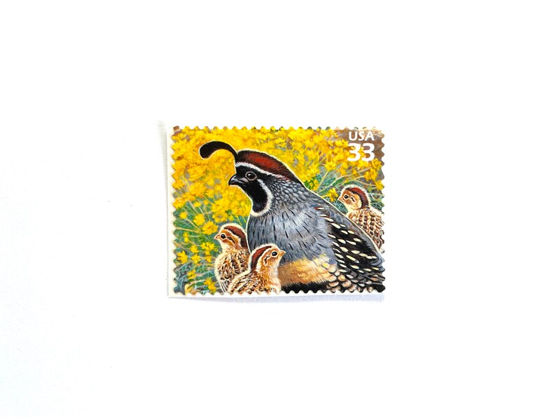 10 Vintage Unused Sonoran Desert Gambel's Quail Mail Stamps / Nature of ...
