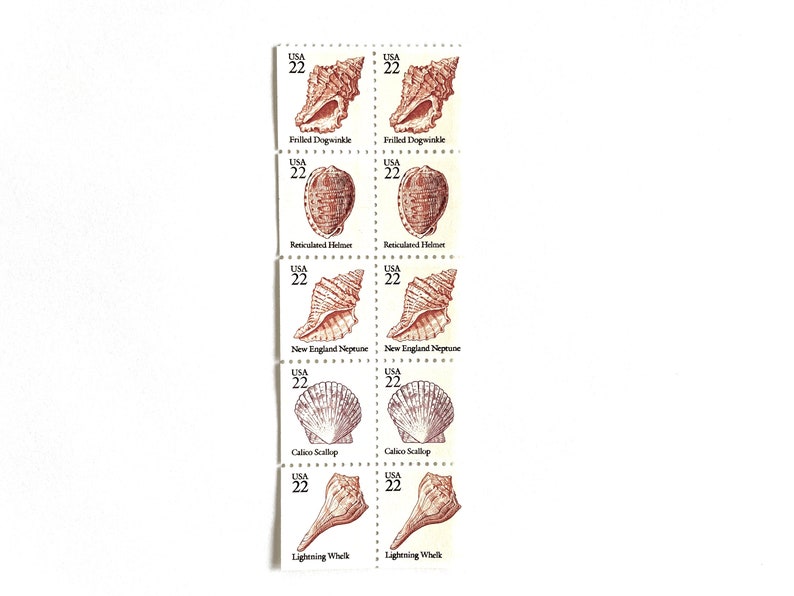 10 Vintage Unused Seashell Mail Stamps / Beach Shell USPS - Etsy