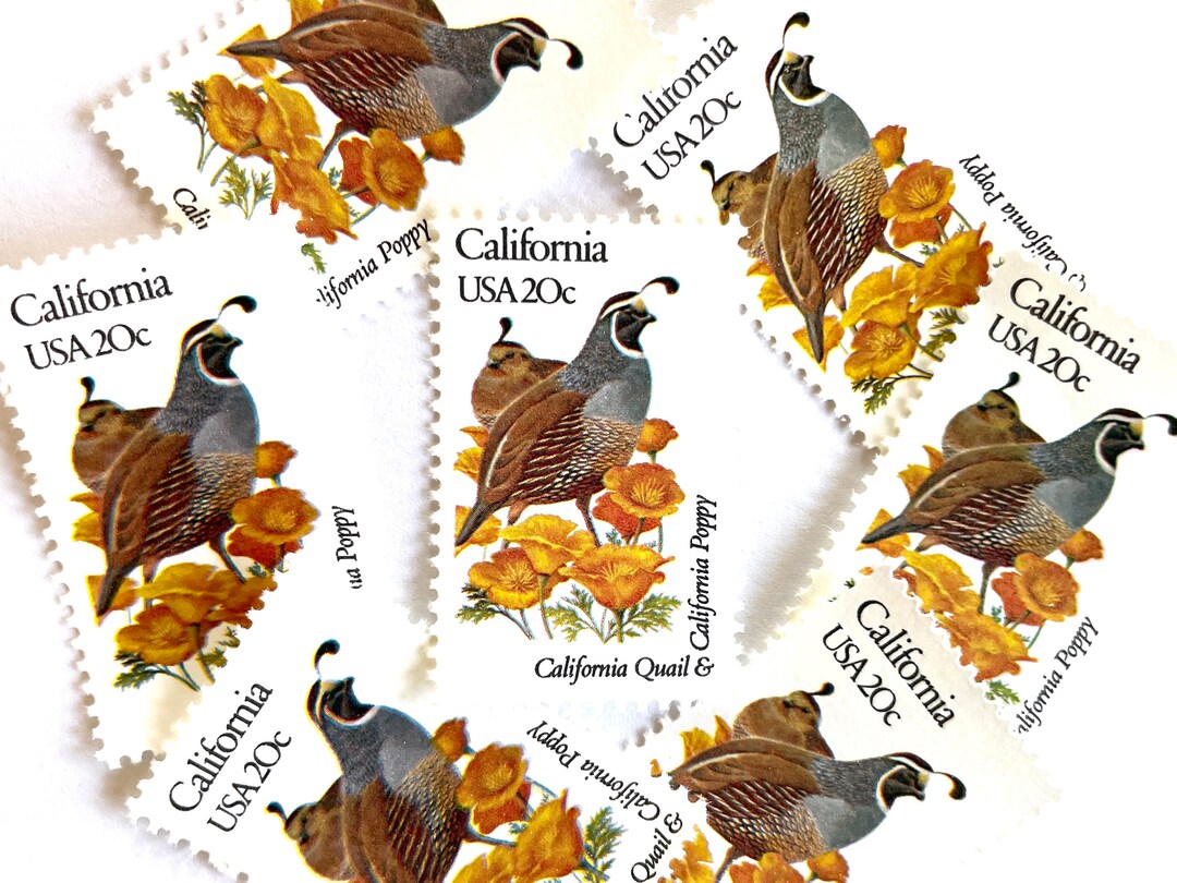 10 Vintage Unused California State Bird and Flower Mail Stamps / Quail ...