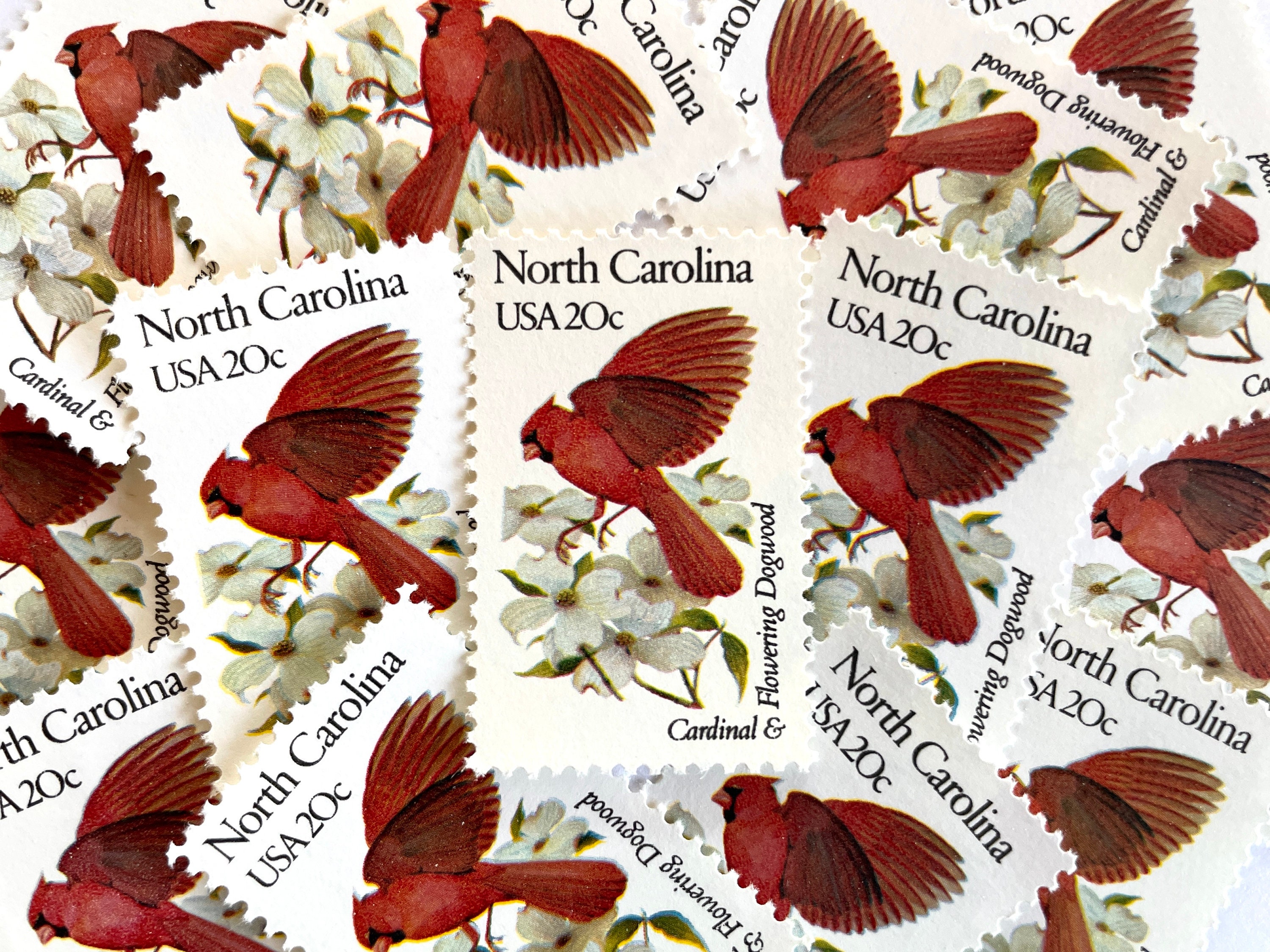 10 Vintage Unused North Carolina State Bird and Flower Mail - Etsy