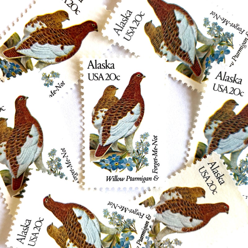 Willow Ptarmigan - Etsy