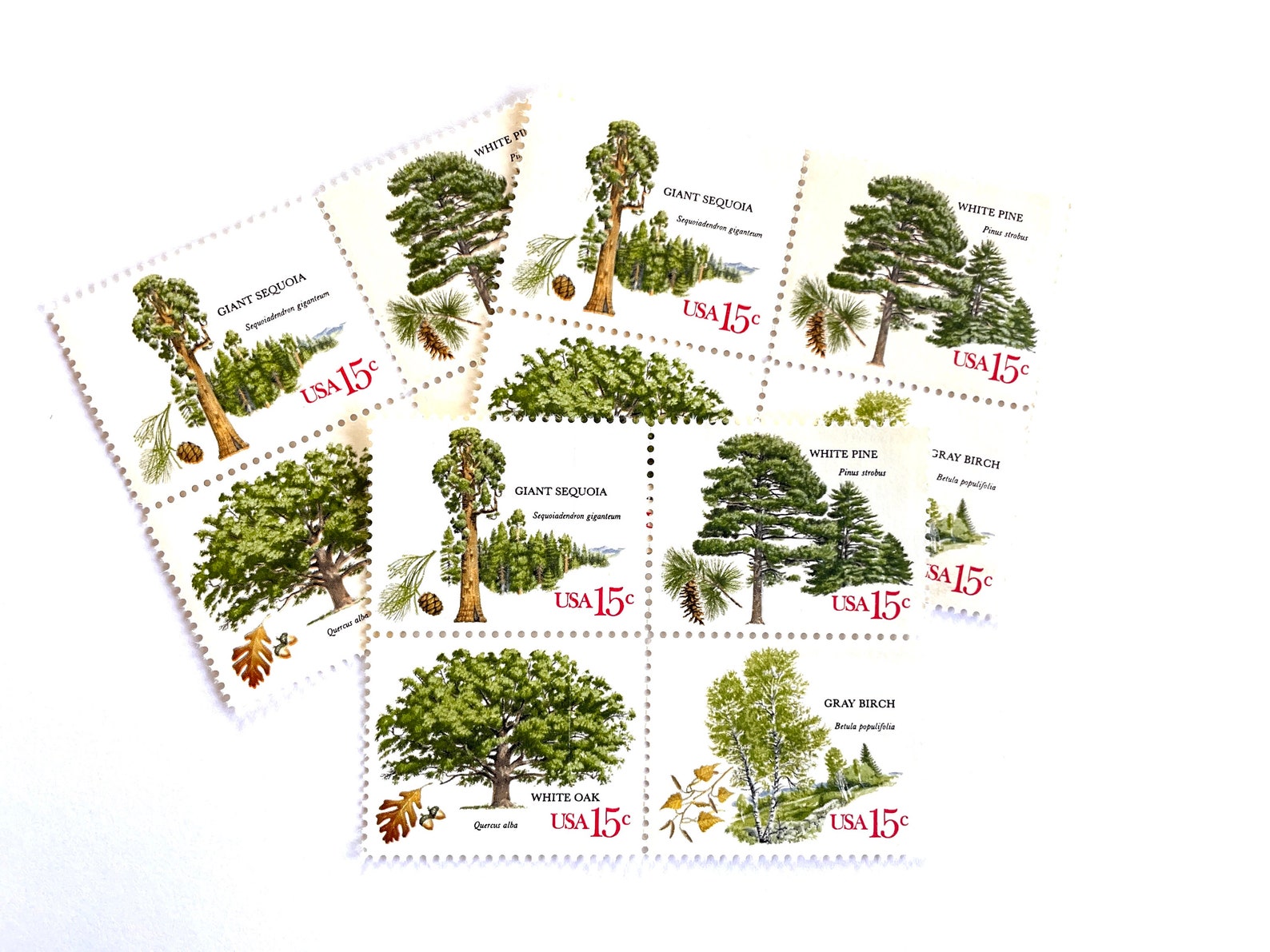 20 Vintage Unused American Trees Mail Stamps / Oak, Birch, Pine ...