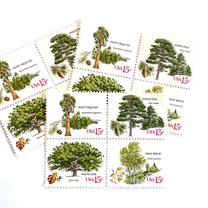 20 Vintage Unused American Trees Mail Stamps / Oak, Birch, Pine ...