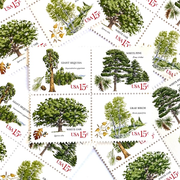 Birch Tree Stamps - Etsy