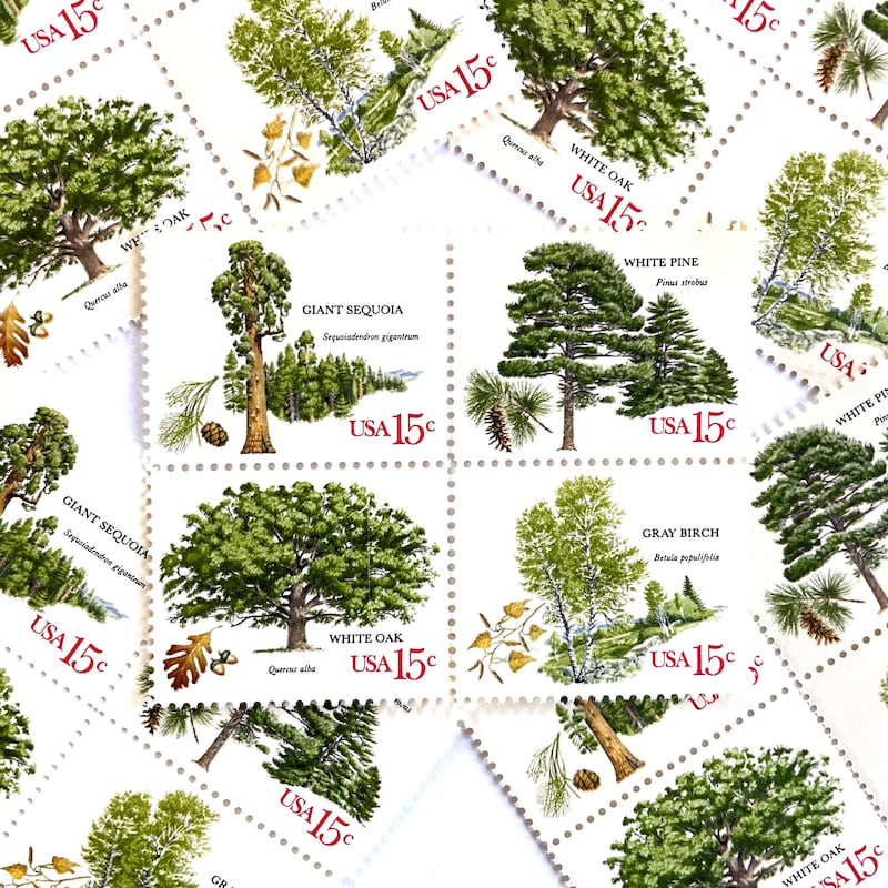 Pine Tree Stamp - Etsy