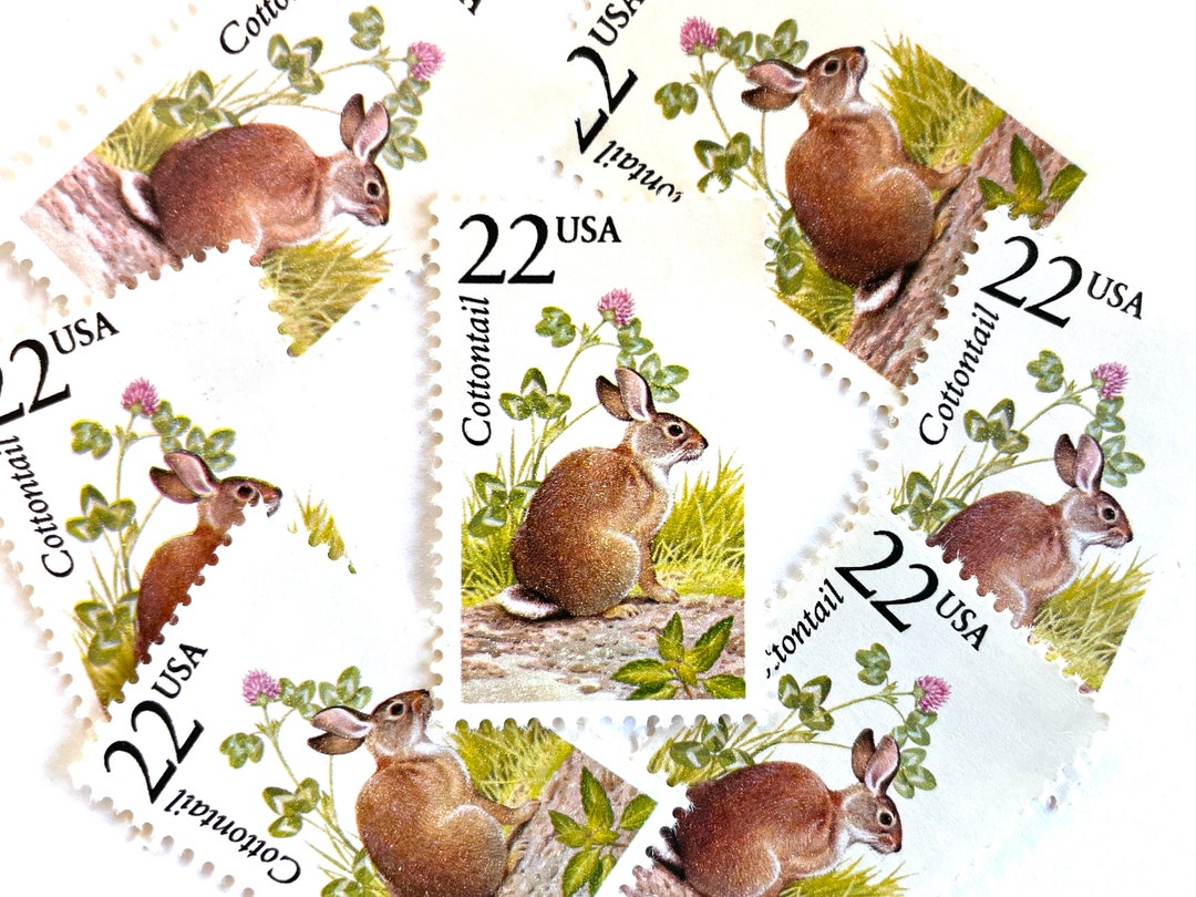 10 Vintage Unused Cottontail Rabbit Mail Stamps / North American ...