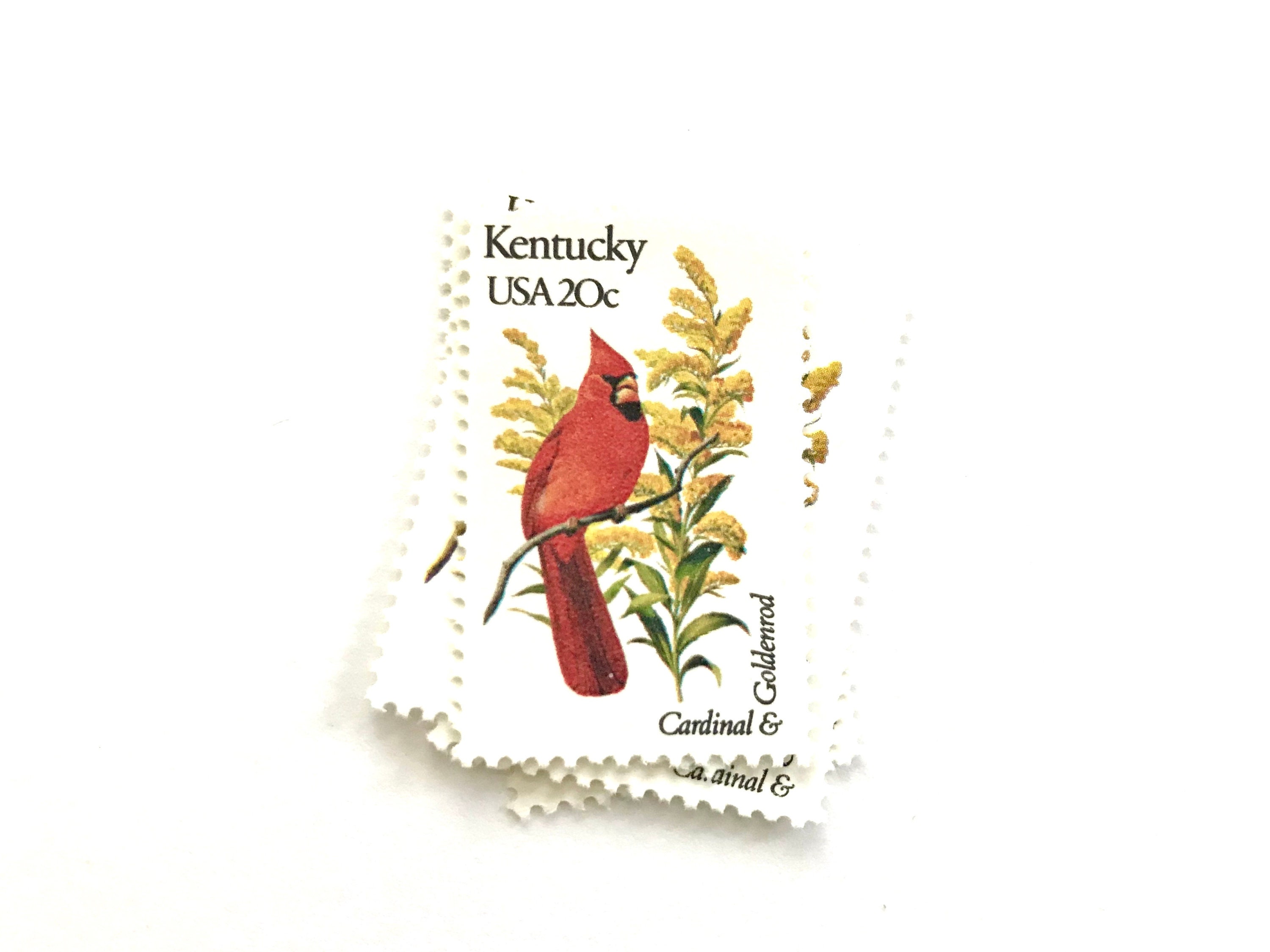 10 Vintage Unused Kentucky State Bird and Flower Mail Stamps / - Etsy