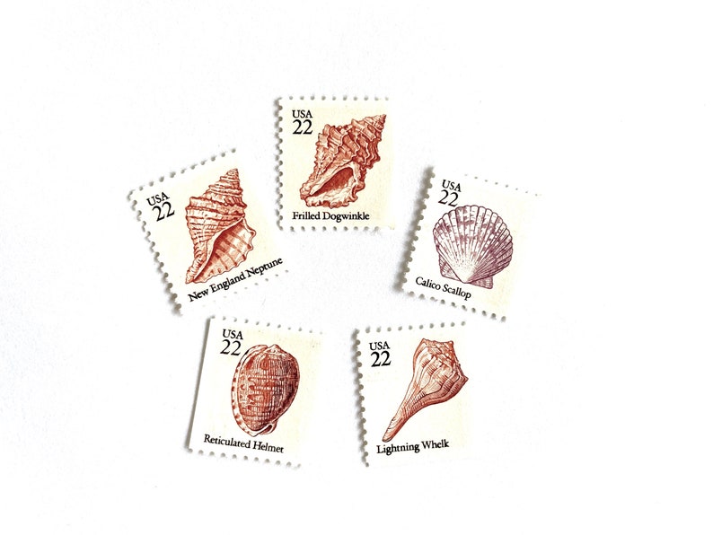 10 Vintage Unused Seashell Mail Stamps / Beach Shell USPS - Etsy