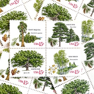 20 Vintage Unused American Trees Mail Stamps / Oak, Birch, Pine ...