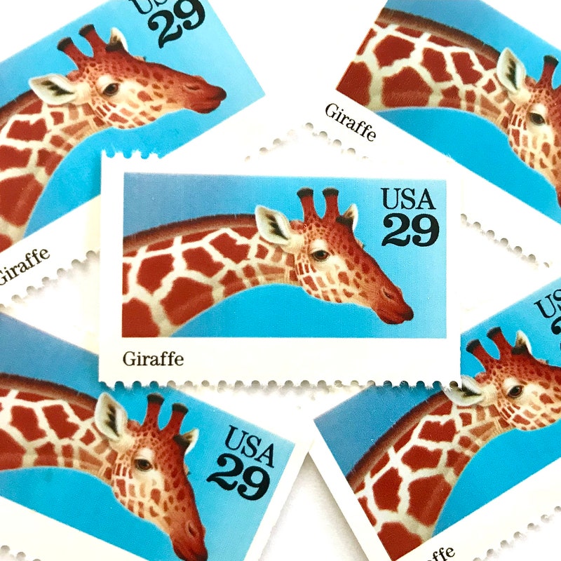 Giraffe Stamp - Etsy
