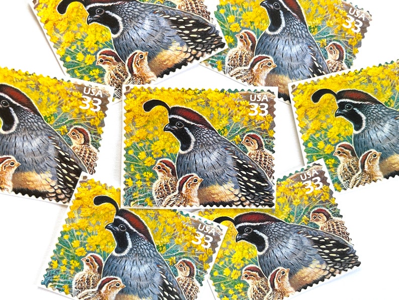 10 Vintage Unused Sonoran Desert Gambel's Quail Mail Stamps / Nature of ...