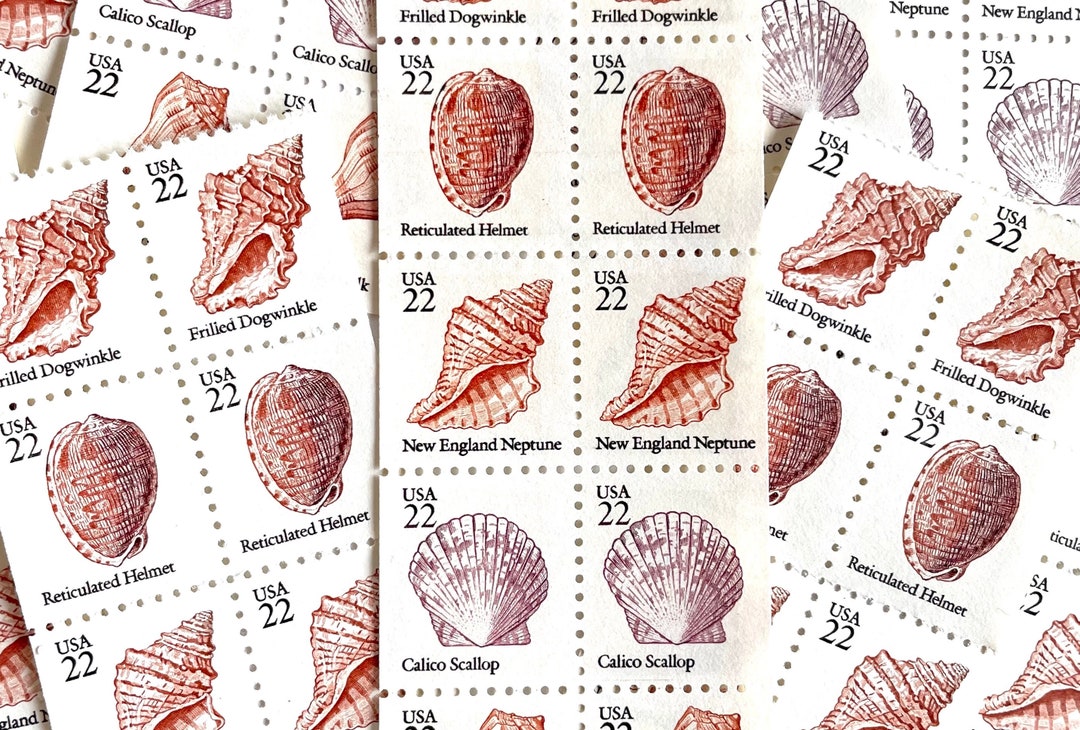10 Vintage Unused Seashell Mail Stamps / Beach Shell USPS Postage / 22 ...