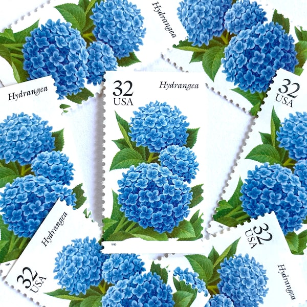 Hydrangea Stamp - Etsy