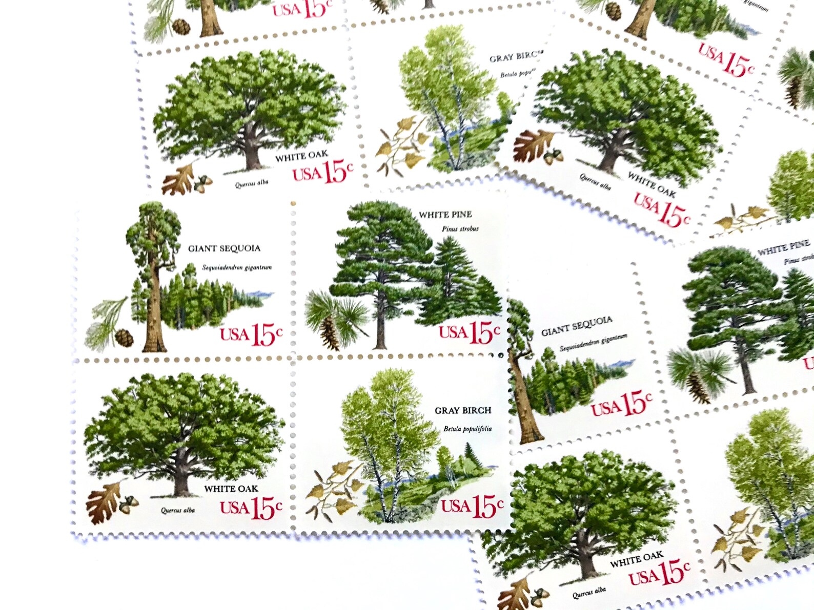 20 Vintage Unused American Trees Mail Stamps / Oak, Birch, Pine ...