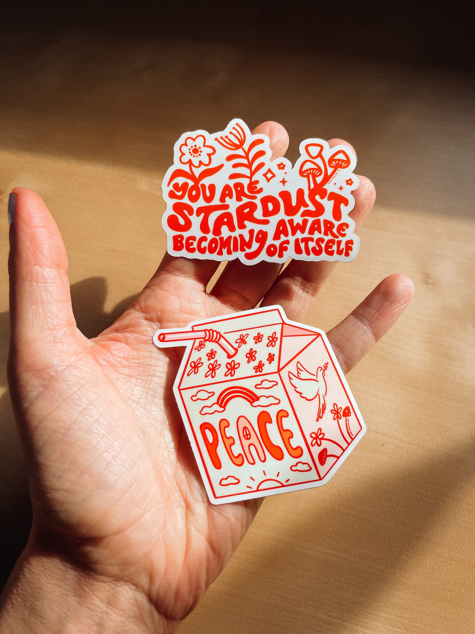You Are Stardust Sticker - Etsy