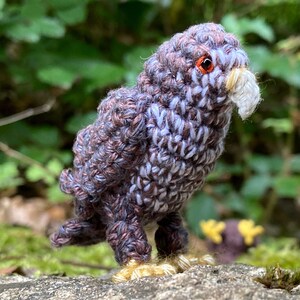 Crochet Hawk Pattern, Akira Amigurumi Buzzard Instruction, Mini Falcon ...
