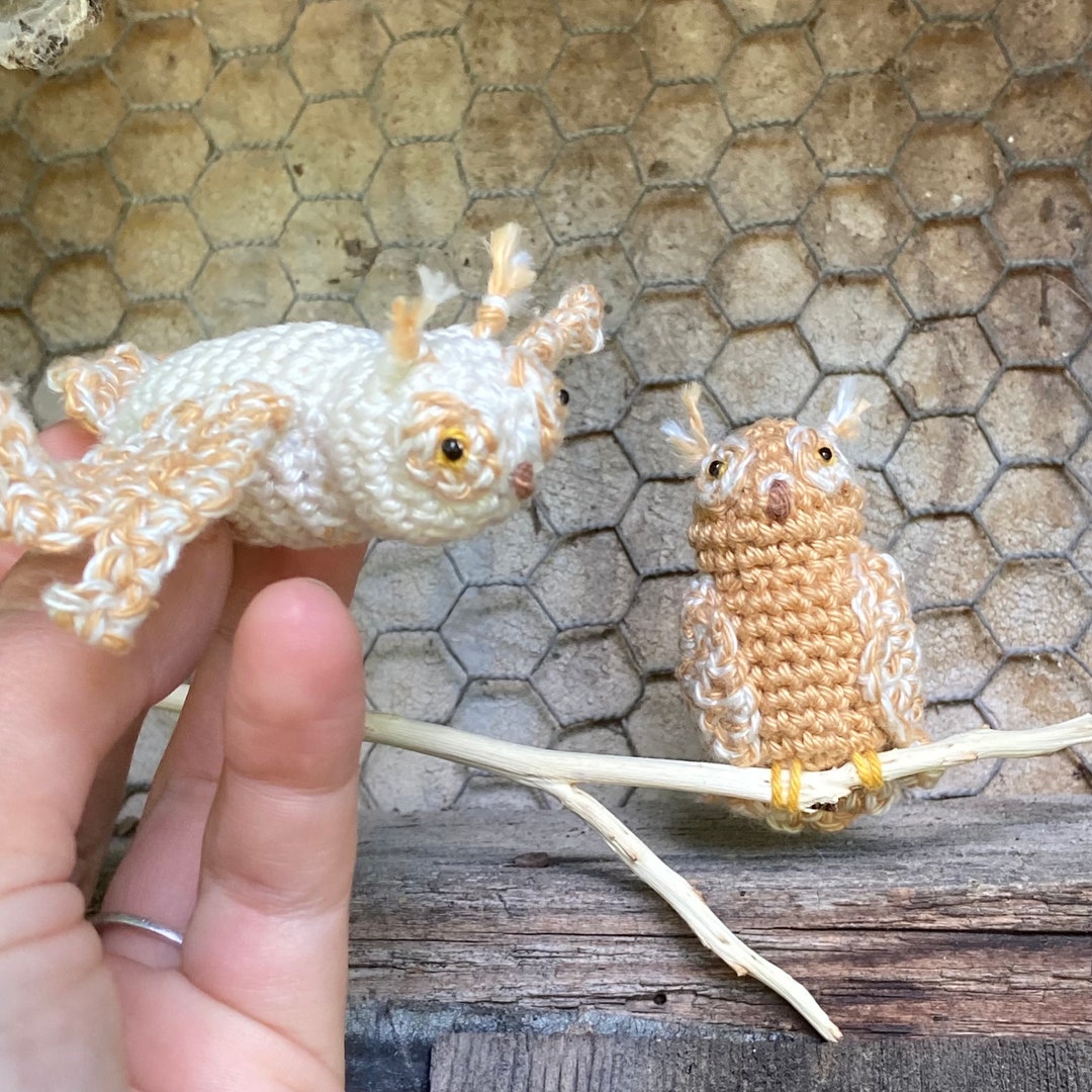 Crochet Pattern Owl Luna Bundle of 2, Bird of Prey Amigurumi Pattern ...