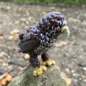 Crochet Hawk Pattern, Akira Amigurumi Buzzard Instruction, Mini Falcon ...