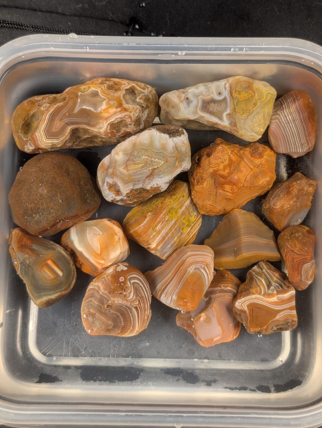 1 Lb Lot of Lake Superior Agates (grade A) for Lapidary, Display or ...