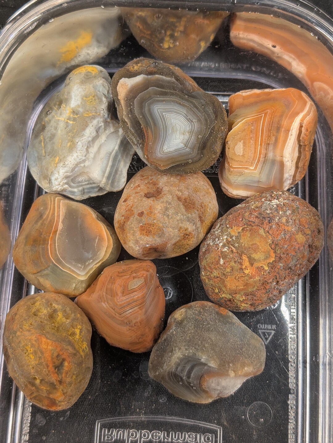 1 Lb Lot of Lake Superior Agates (grade A) for Tumbling, Lapidary or ...