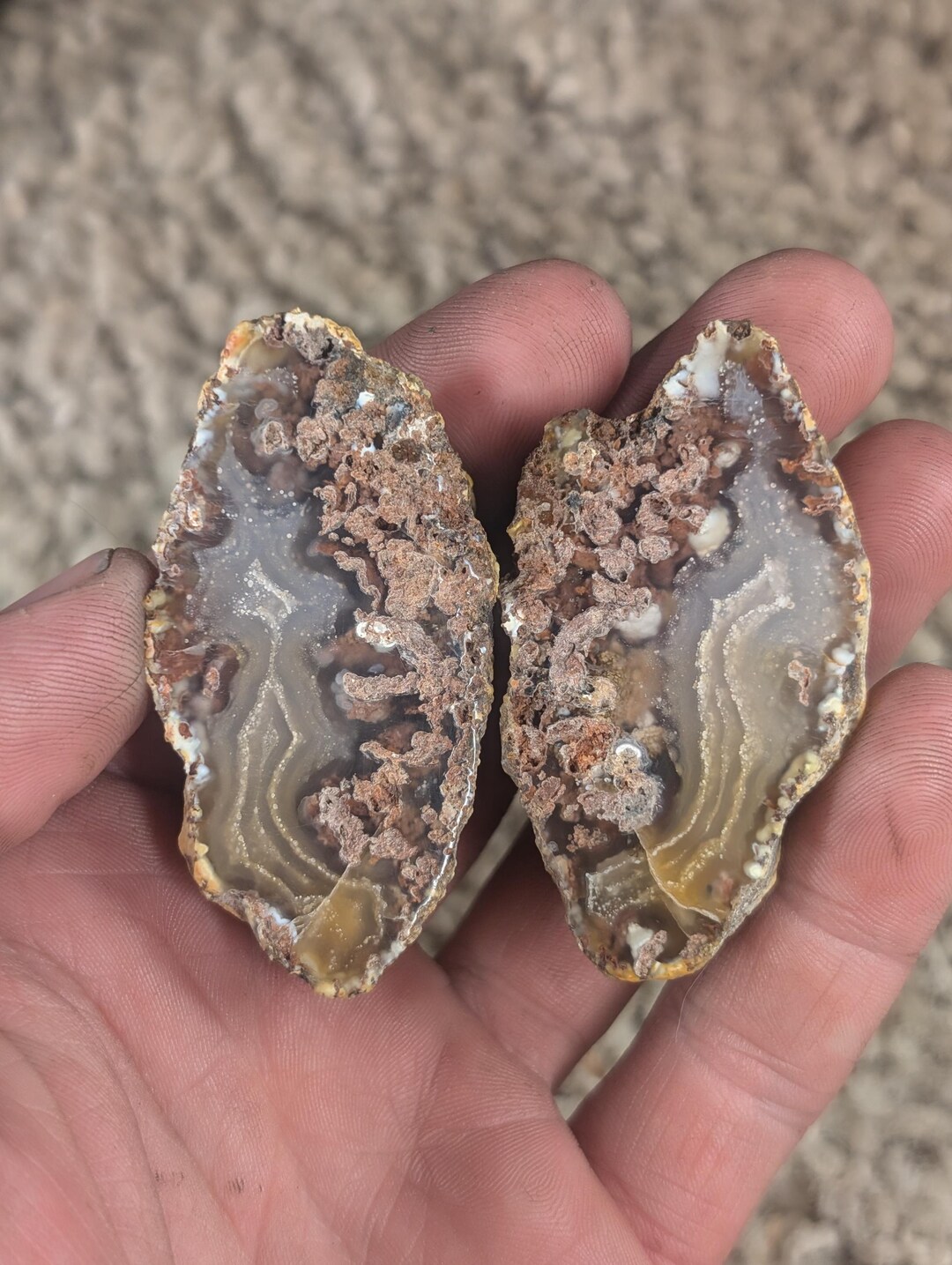 Face Polished Picacho Agate (new Locality) With Fantastic Depth and ...