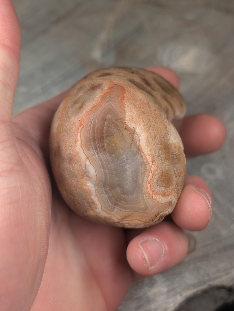 1 Lb Lot of Lake Superior Agates (grade A, Large) for Lapidary or ...