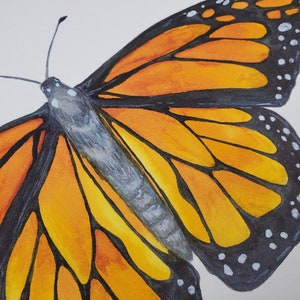 Watercolor Painting, Monarch Butterfly, 9x12 - Etsy