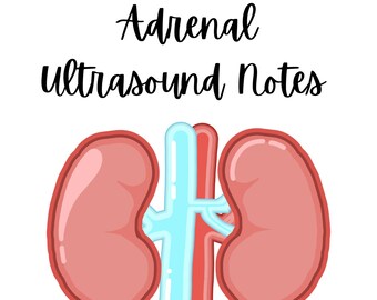 Pancreas Ultrasound DOWNLOAD Lecture Notes PDF Ultrasound School for ...