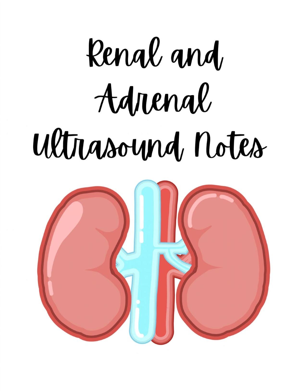 Abdomen and Small Parts Notes Bundle Ultrasound DOWNLOAD Notes PDF ...