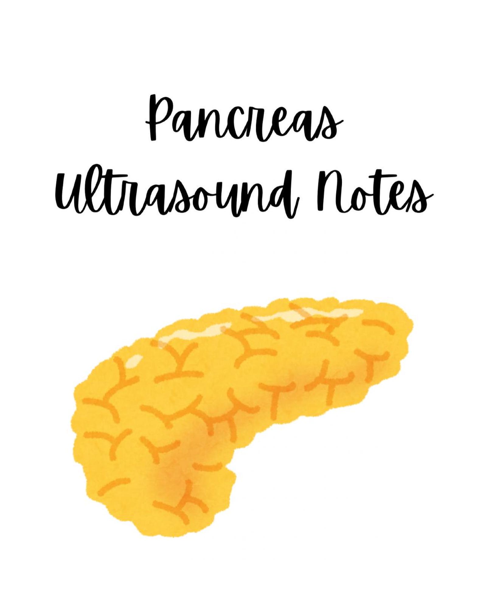 Abdomen and Small Parts Notes Bundle Ultrasound DOWNLOAD Notes PDF ...