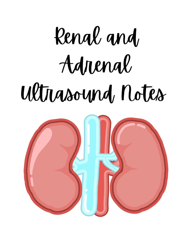 Renal and Adrenal Ultrasound DOWNLOAD Notes PDF Ultrasound School for ...
