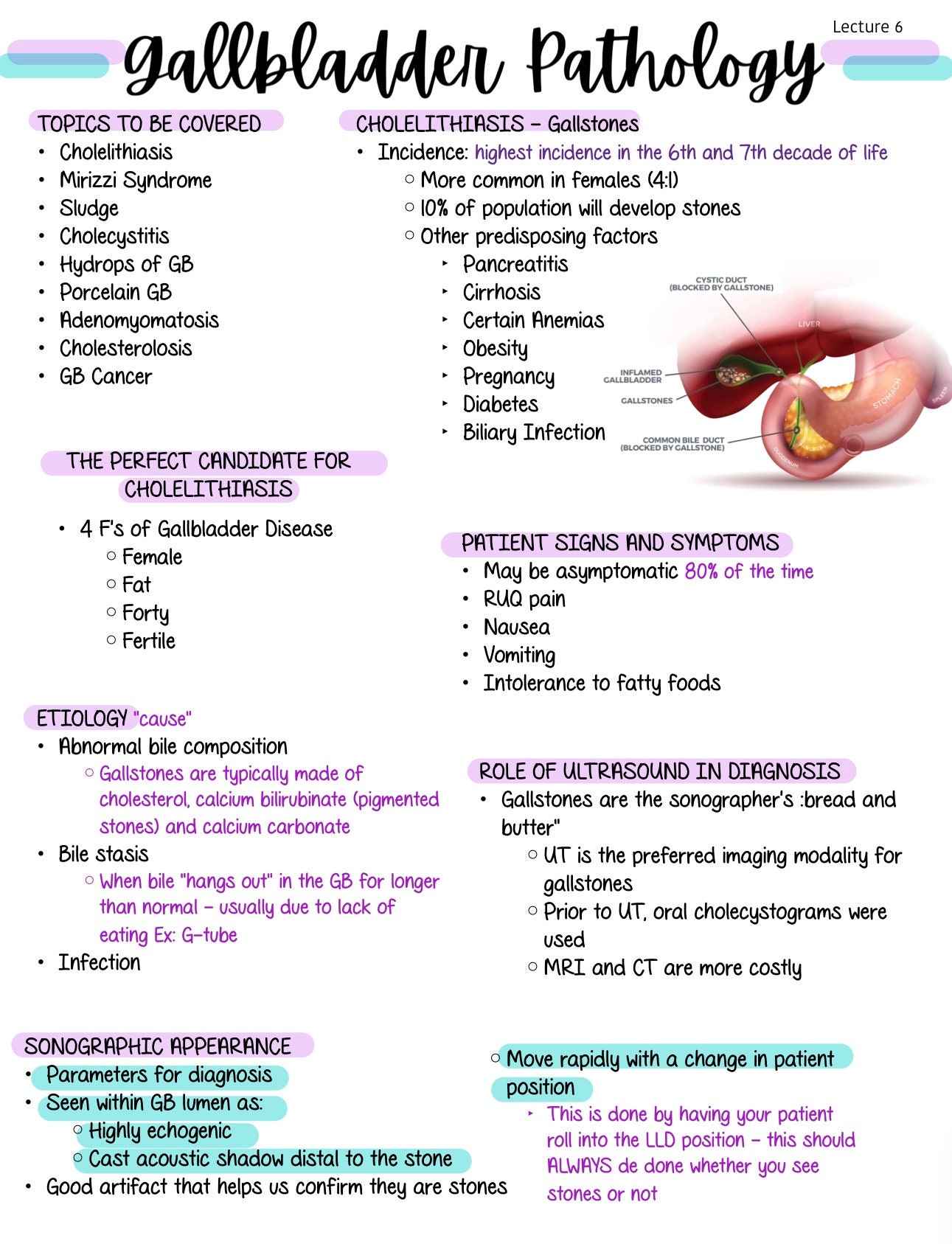 Gallbladder and Biliary Tree Ultrasound DOWNLOAD Notes PDF Ultrasound ...