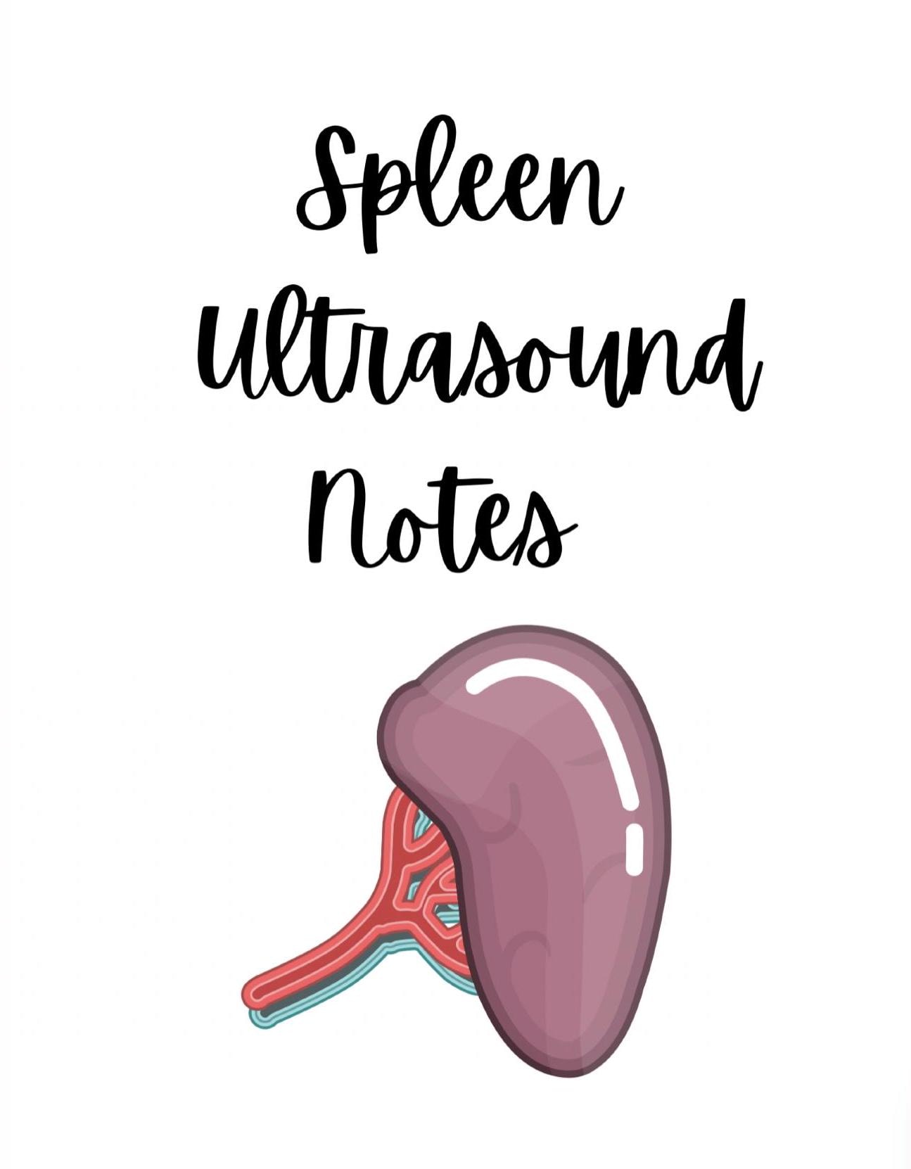 Abdomen and Small Parts Notes Bundle Ultrasound DOWNLOAD Notes PDF ...