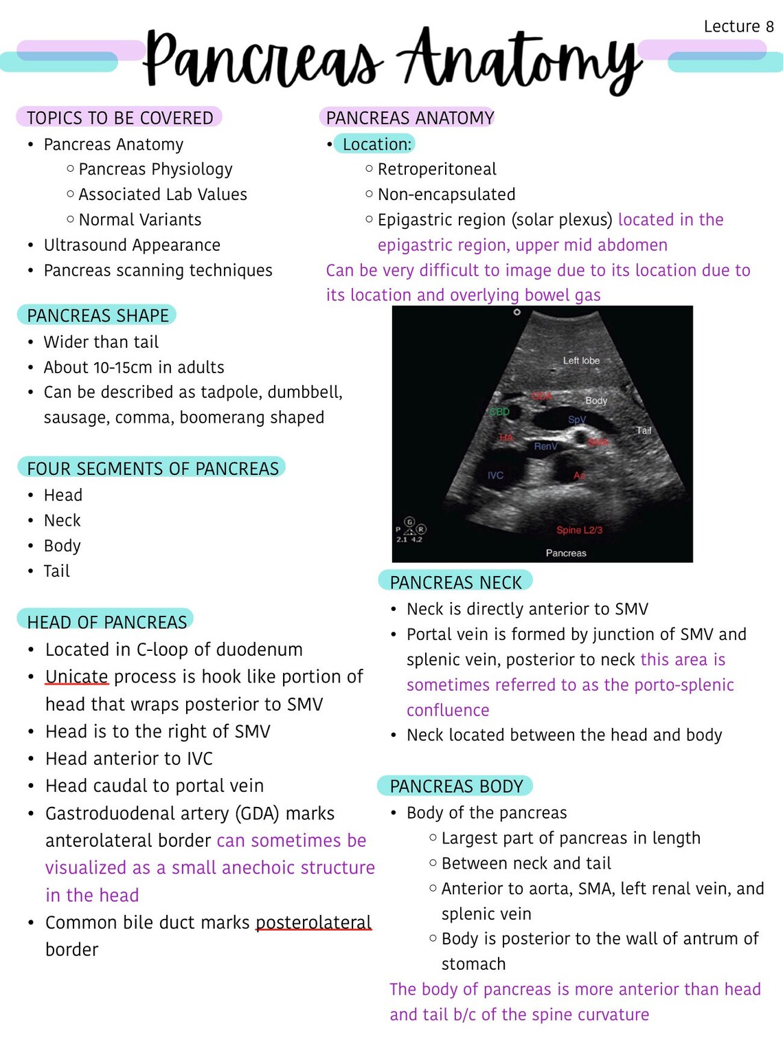 Pancreas Ultrasound DOWNLOAD Lecture Notes PDF Ultrasound School for ...