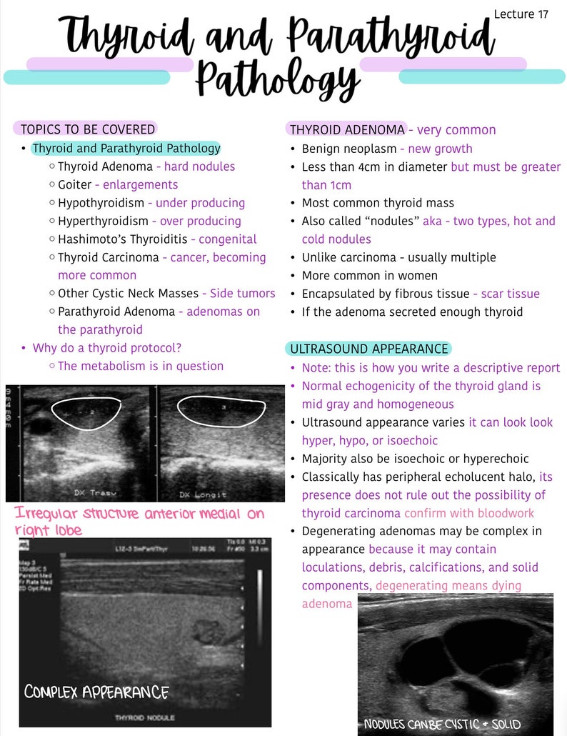 Thyroid and Parathyroid Ultrasound DOWNLOAD Notes PDF Ultrasound School ...