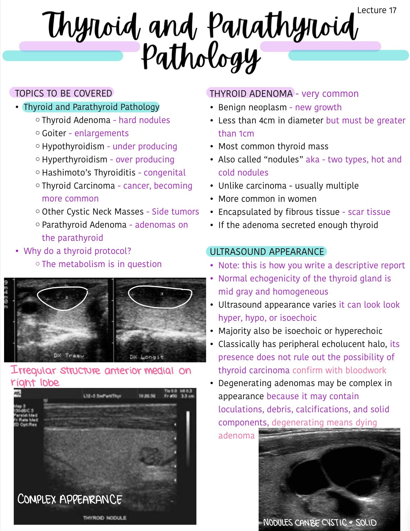 Thyroid And Parathyroid Ultrasound Download Notes Pdf Ultrasound School
