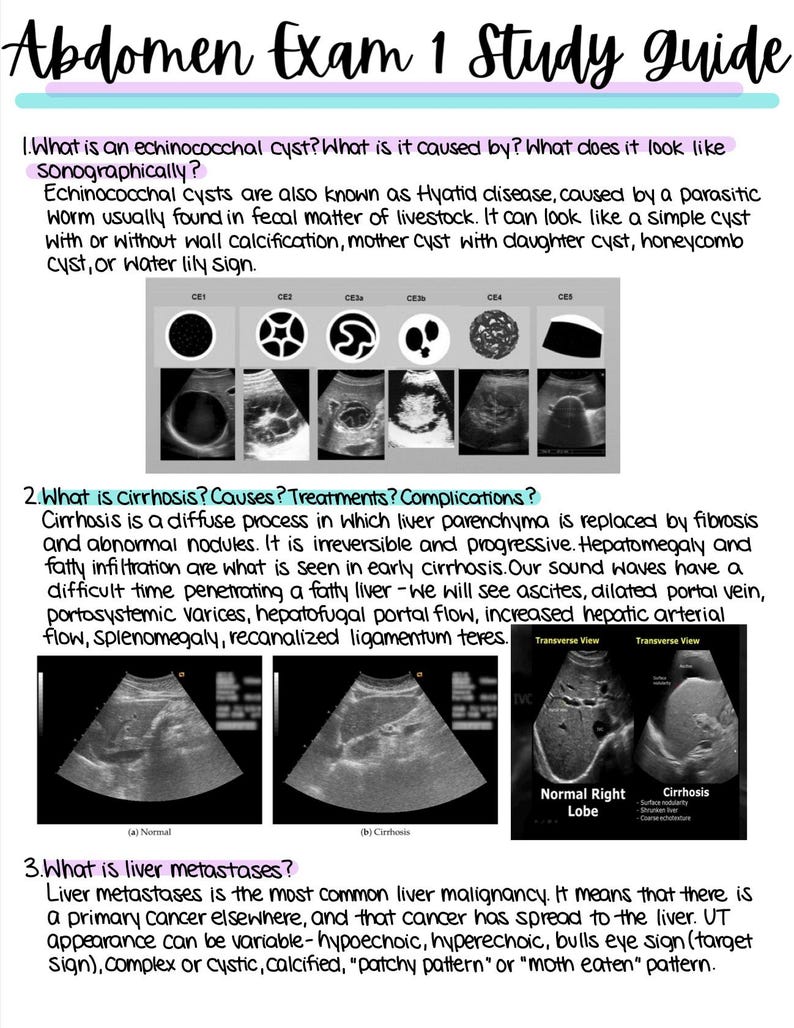 Abdomen Ultrasound Study Guides DOWNLOAD PDF Ultrasound School for ...