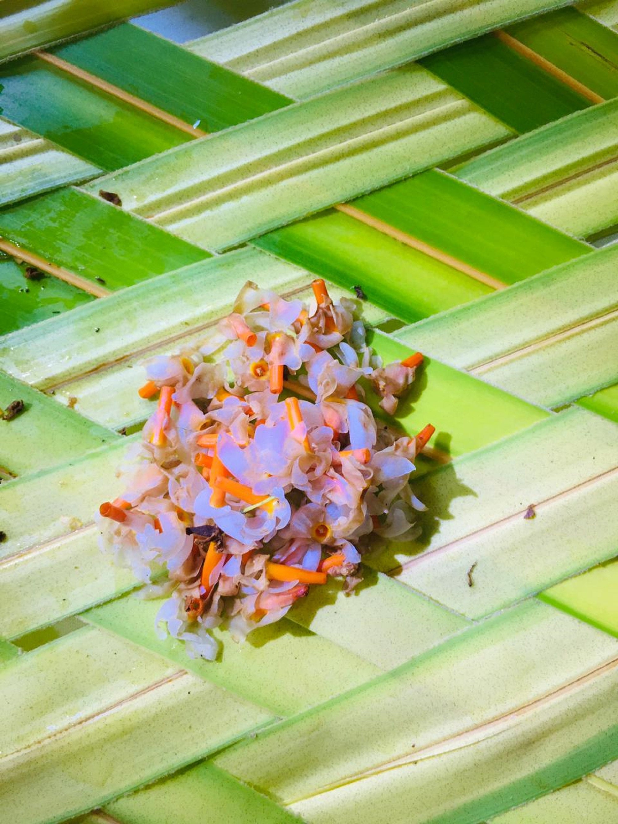 100% Natural Dried SEPALIKA NIGHT FLOWER Nyctanthes Herbal | Etsy