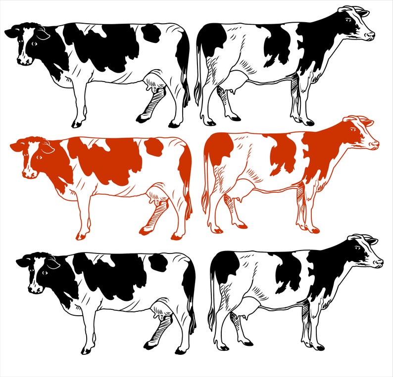 Cow Farm Clip Art Dxf Svg Png Eps Jpg for Cutting,shirt Design ...