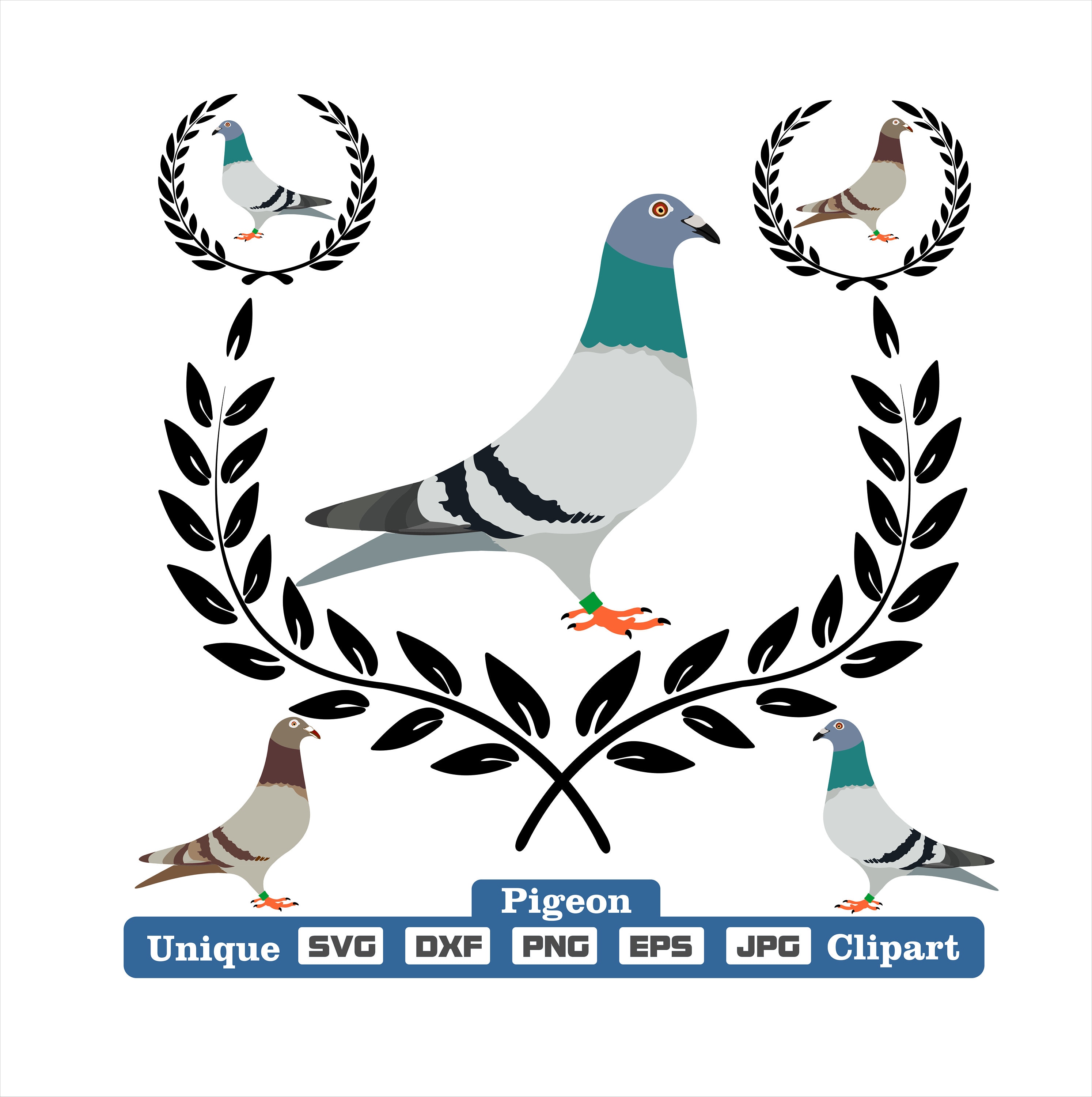 Racing Pigeon Logo Design