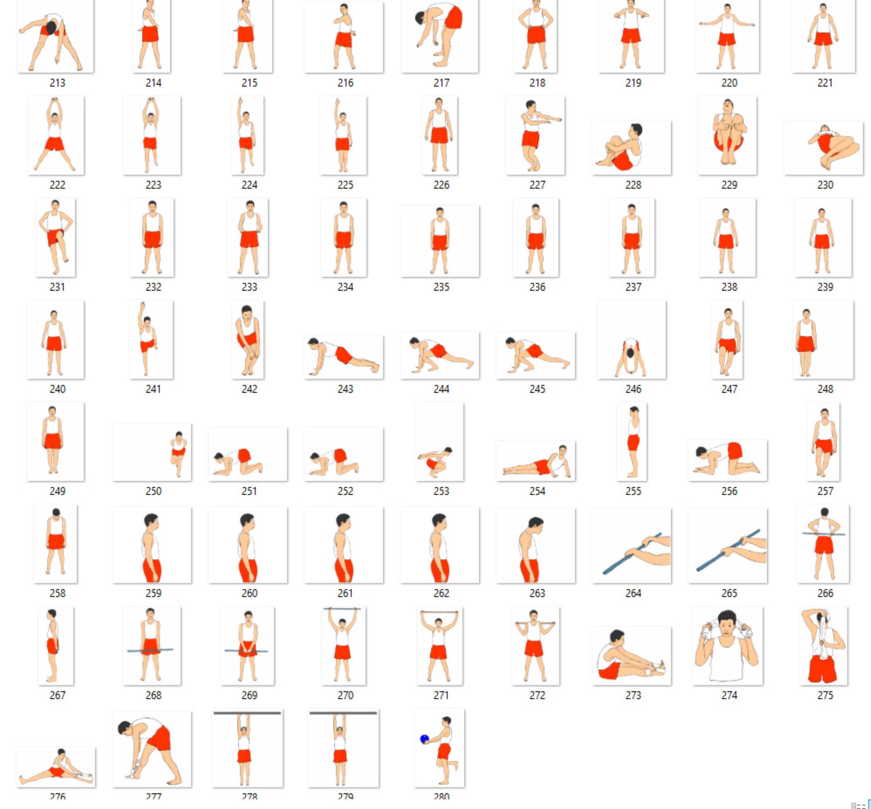 280 Sport Stretch Exercises 'stretching Strength Mobilising' 280 Gif ...