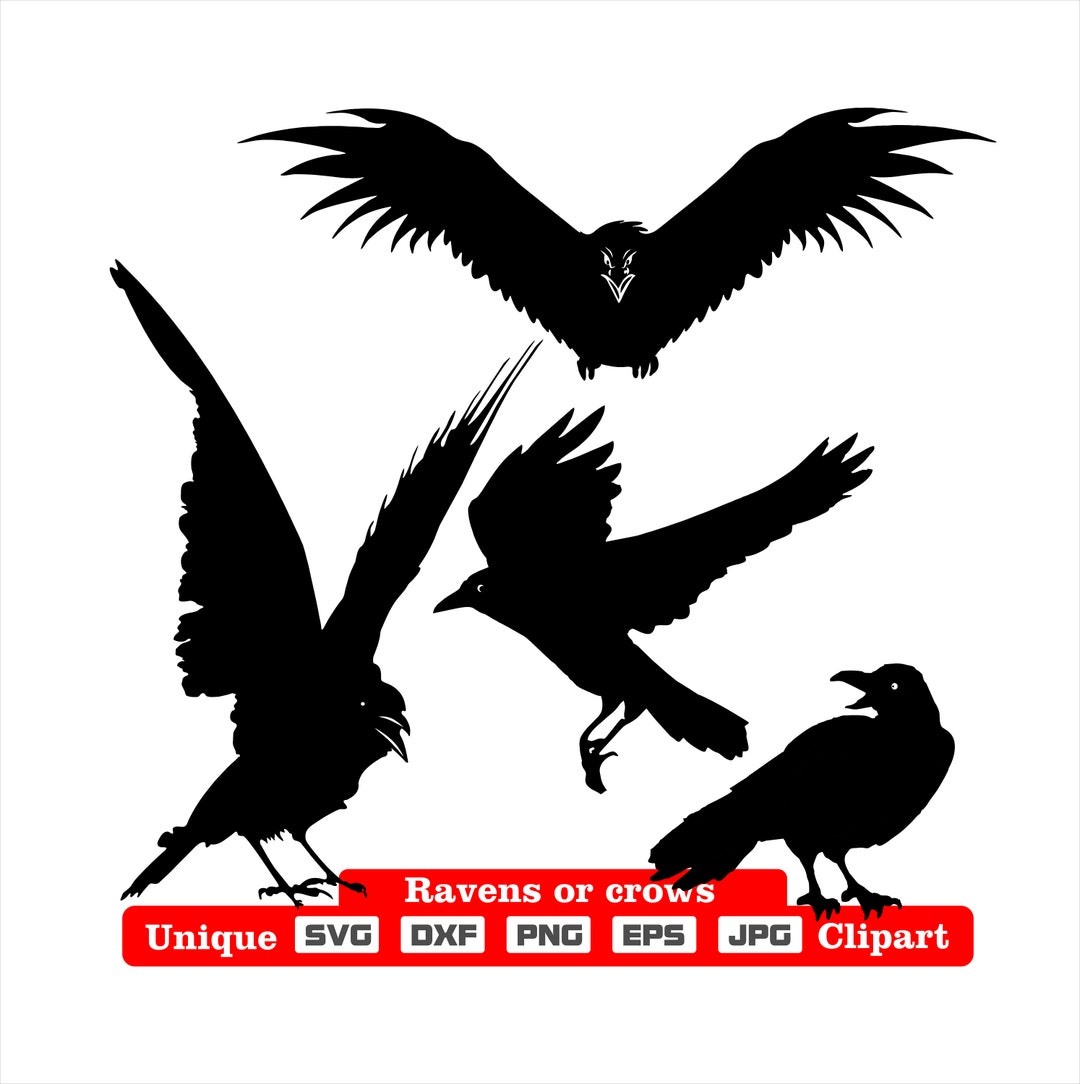 Crows and Ravens Clip Art Dxf Svg Png Eps Jpg for Cutting, Clothing ...