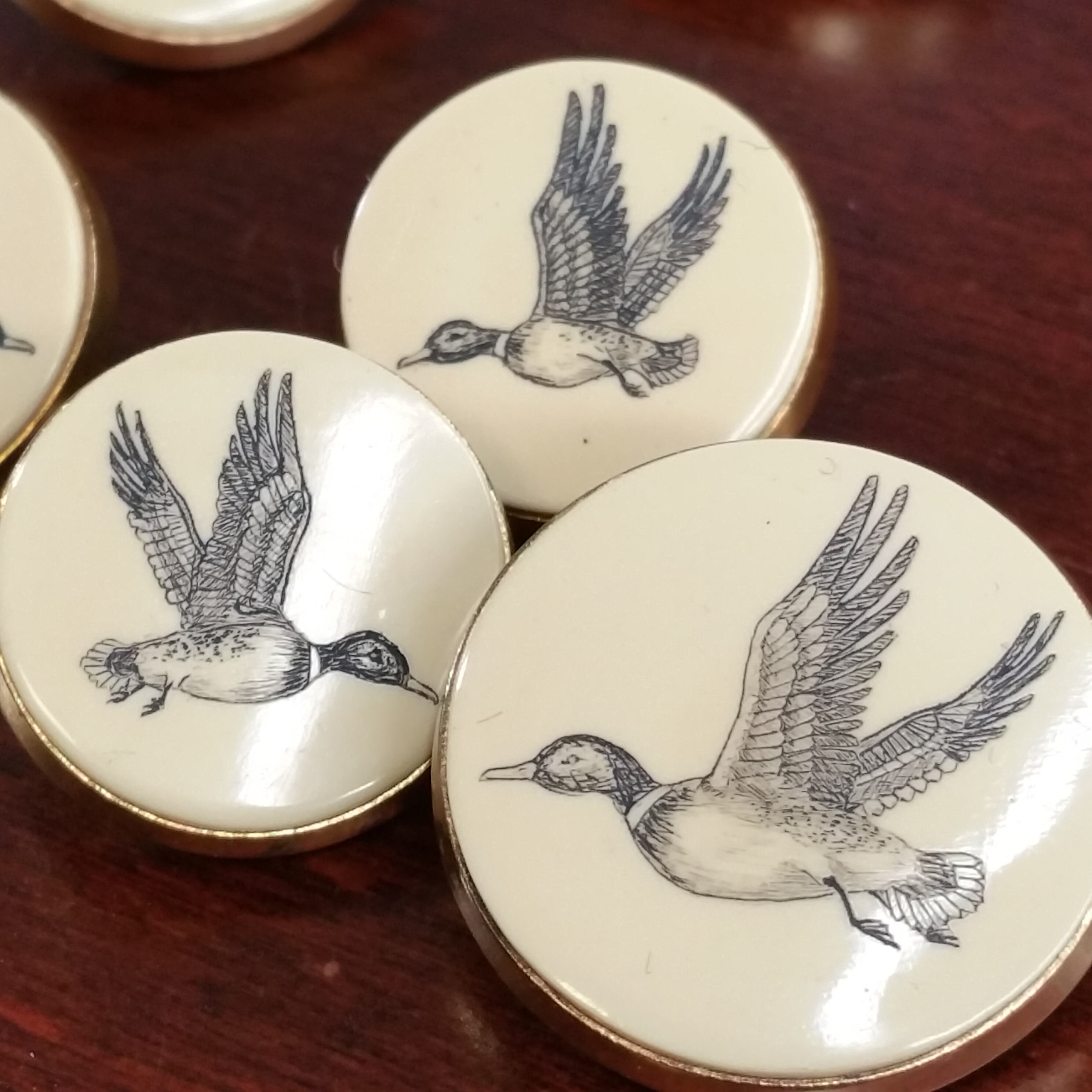 Vintage Scrimshaw Button Set, Eco Friendly Resin Scrimshaw, Etched ...