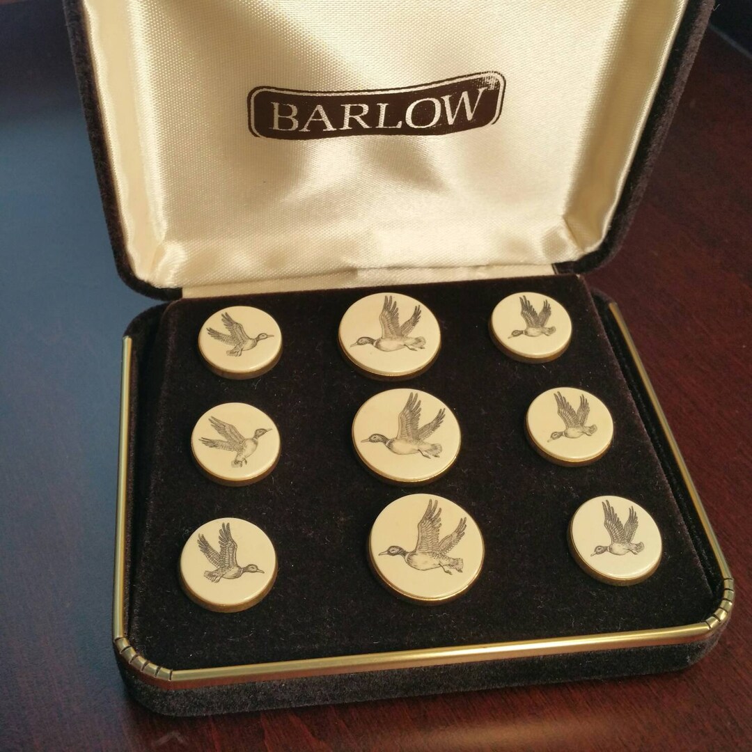 Vintage Scrimshaw Button Set Eco Friendly Resin Scrimshaw - Etsy