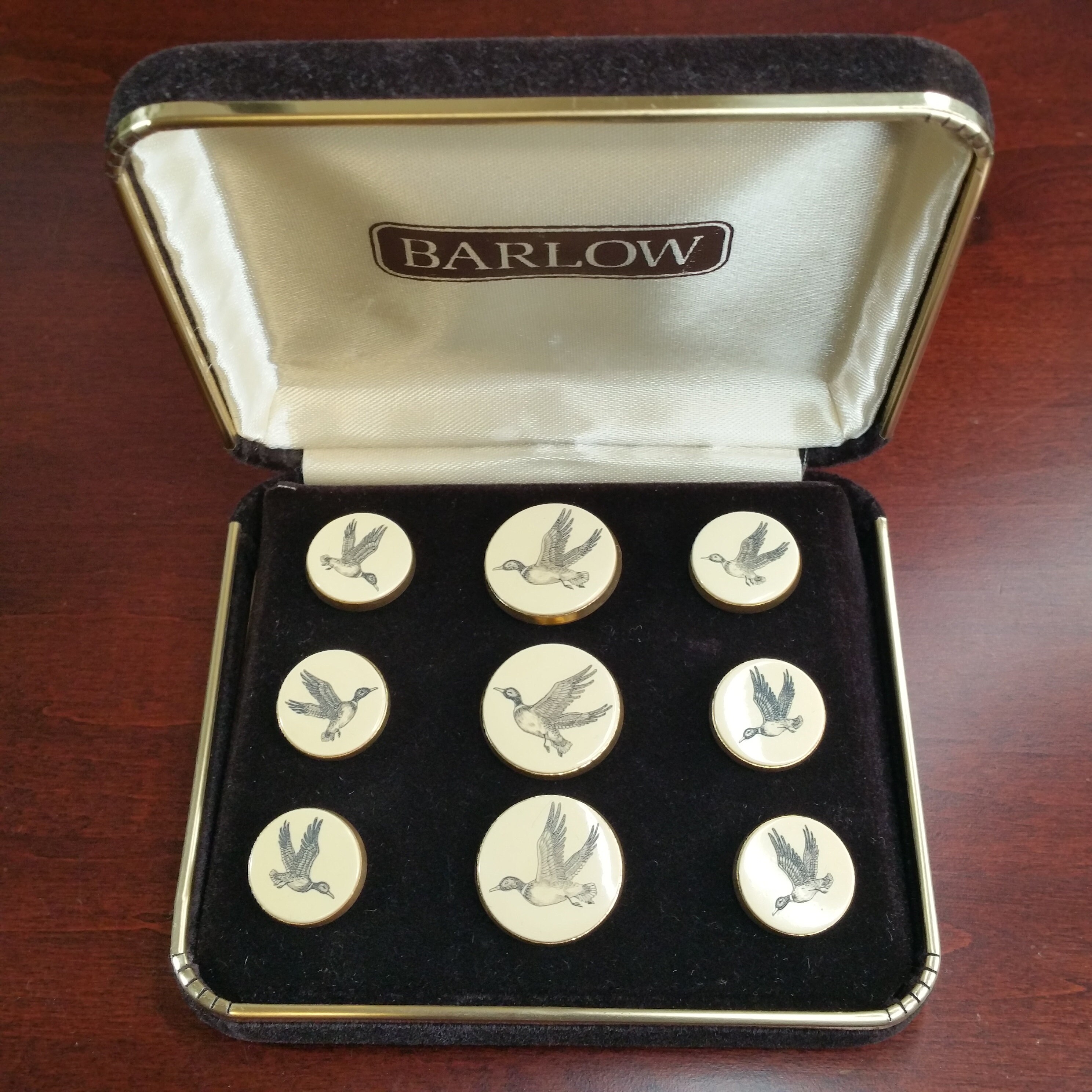 Vintage Scrimshaw Button Set, Eco Friendly Resin Scrimshaw, Etched ...