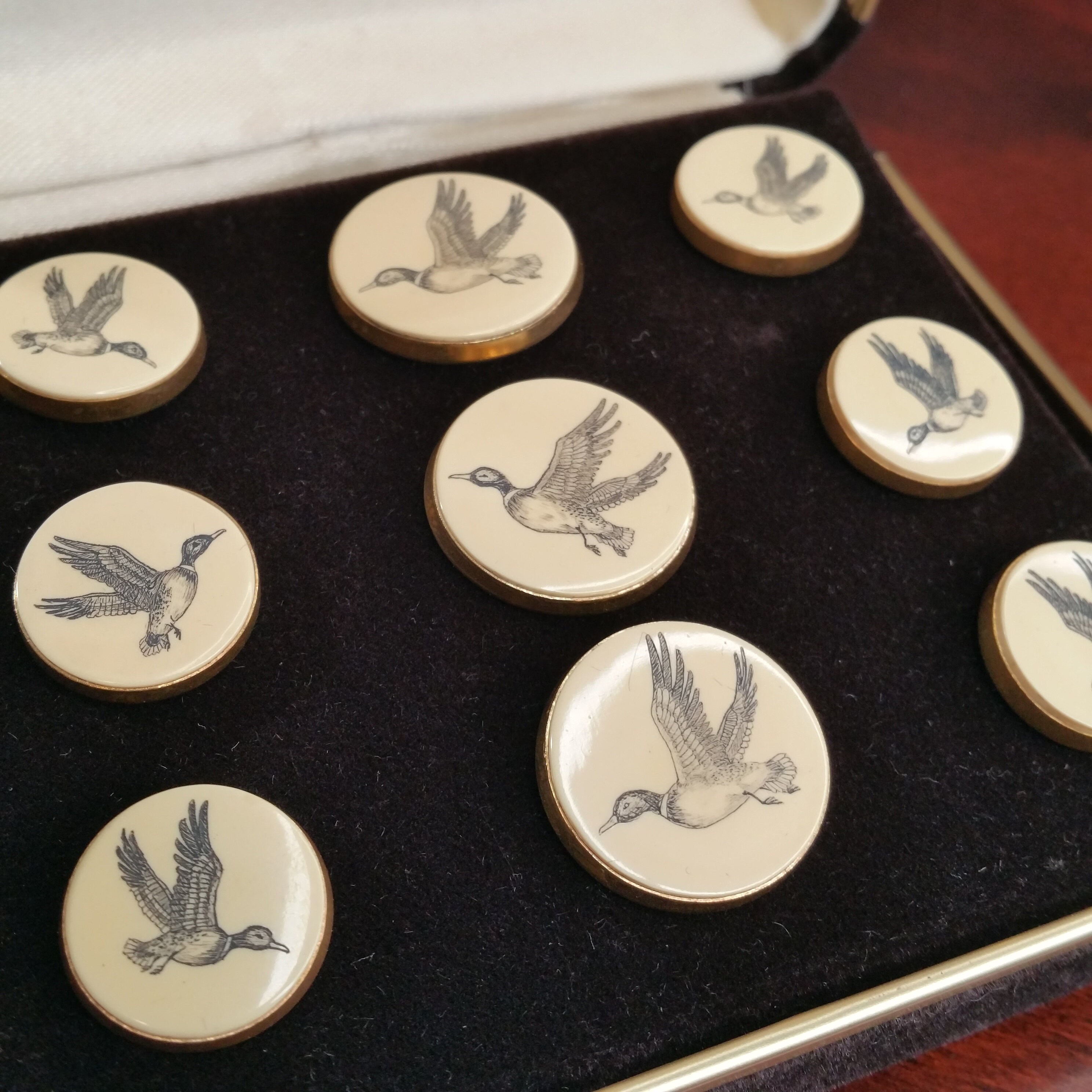 Vintage Scrimshaw Button Set, Eco Friendly Resin Scrimshaw, Etched ...
