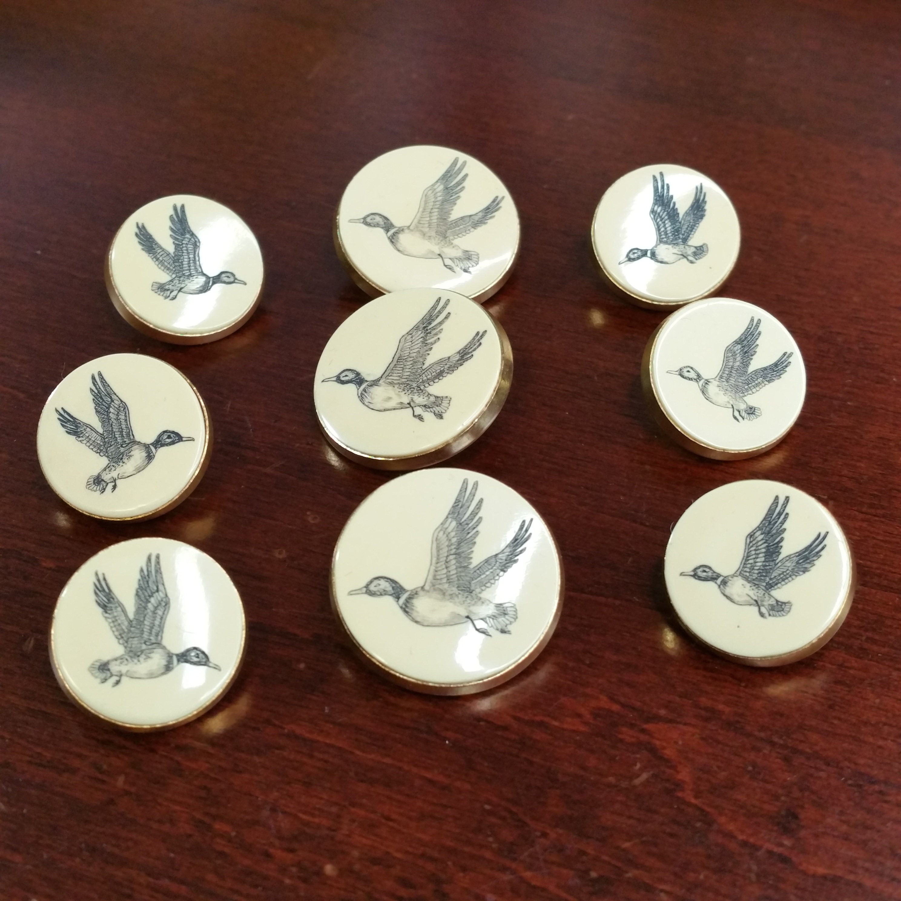 Vintage Scrimshaw Button Set, Eco Friendly Resin Scrimshaw, Etched ...