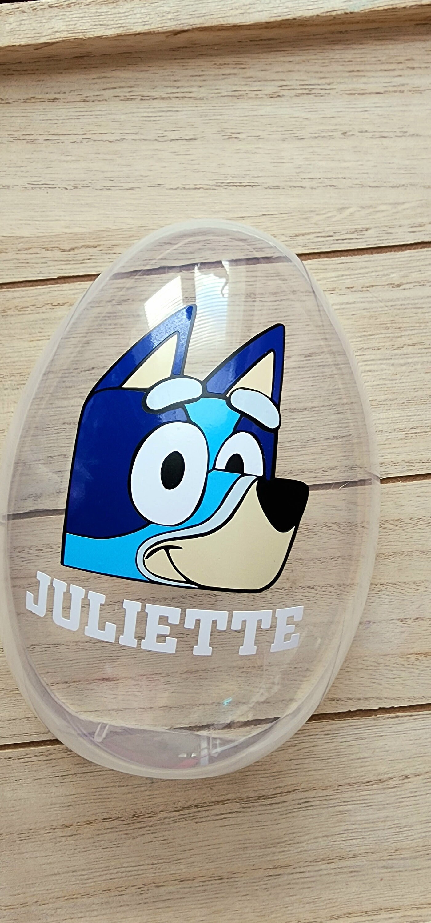 Personalized Easter Egg, Bluey, Bluey Easter Egg, Bluey Basket for Kids ...